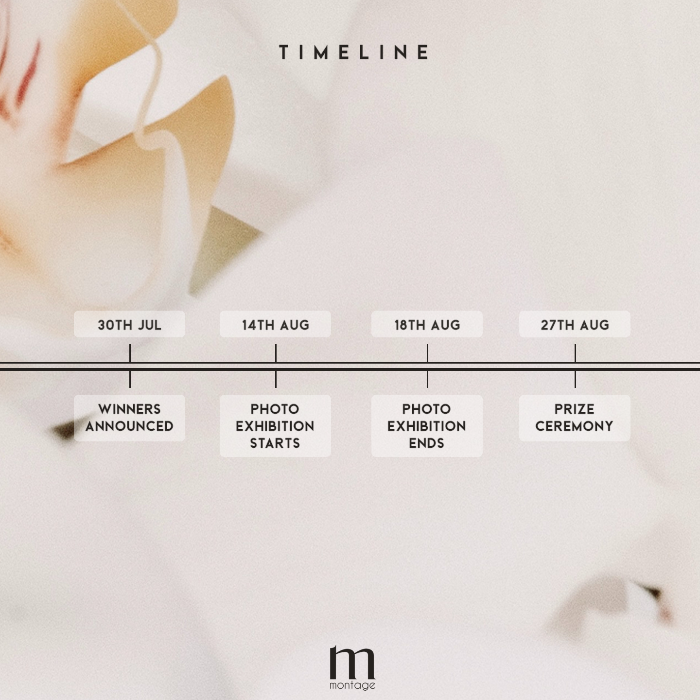 Timeline for Montage 2022 – NUSPS